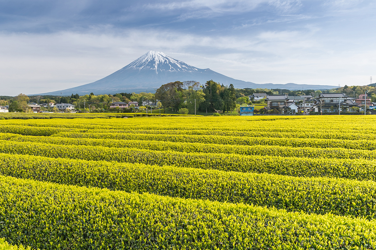 Výstup na Fudžisan - japonskú sopku Fuji - Milujem Cestovanie